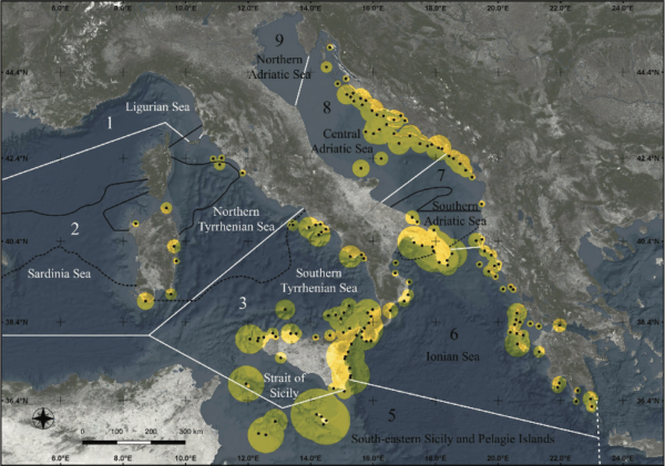 Vermocane, un invasivo in forte espansione | Blog Divers
