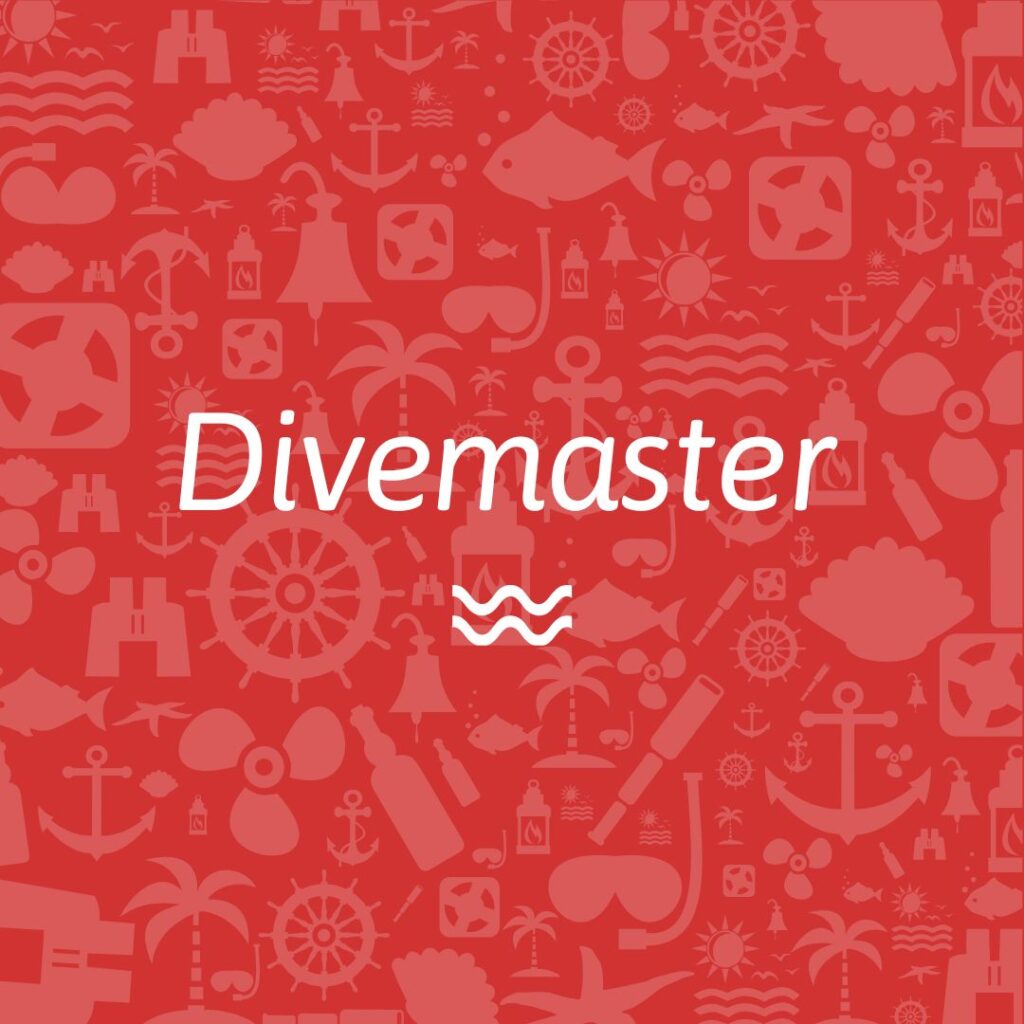 Divemaster | PADI & SSI Courses