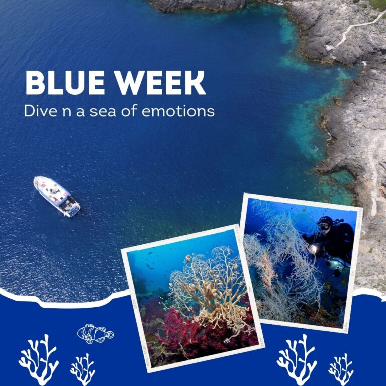 Blue Week | Argentario Divers