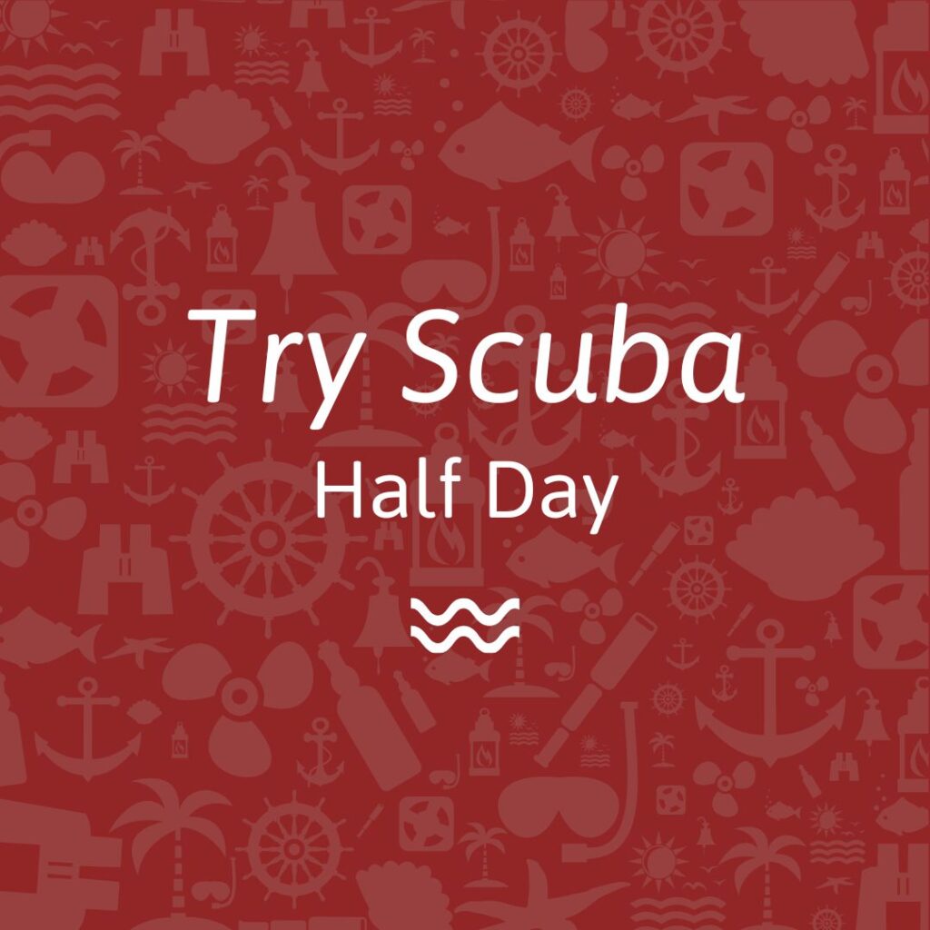 Try Dive - Half Day | How to become a diver