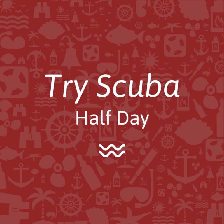 Try Dive - Half Day | How to become a diver